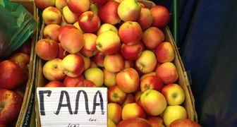 Nejlepší odrůdy jabloní: jak si vybrat a vypěstovat dokonalé jablko