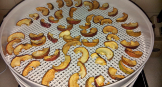 Сушка вишни в электросушилке, заготовка овощей